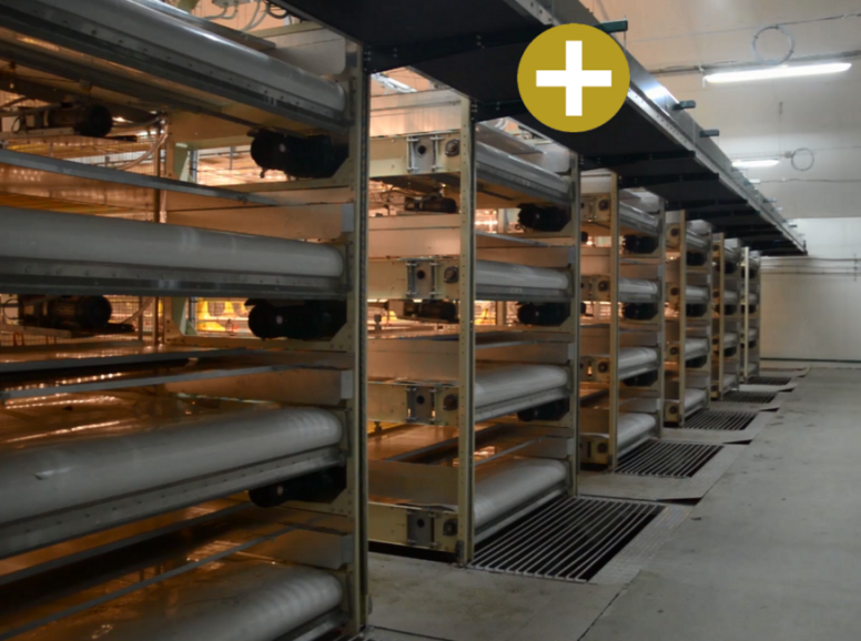 GOLDEN BROILER cage system _PRIME :: FIT Farm Innovation Team