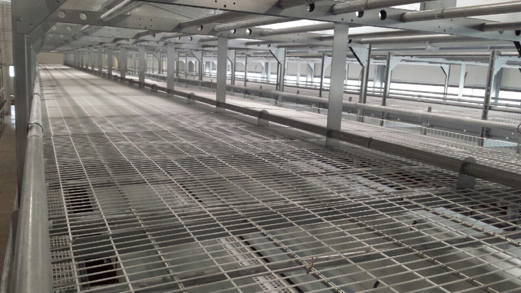 NATURE_2 CAGE-FREE layer AVIARY system :: FIT Farm Innovation Team